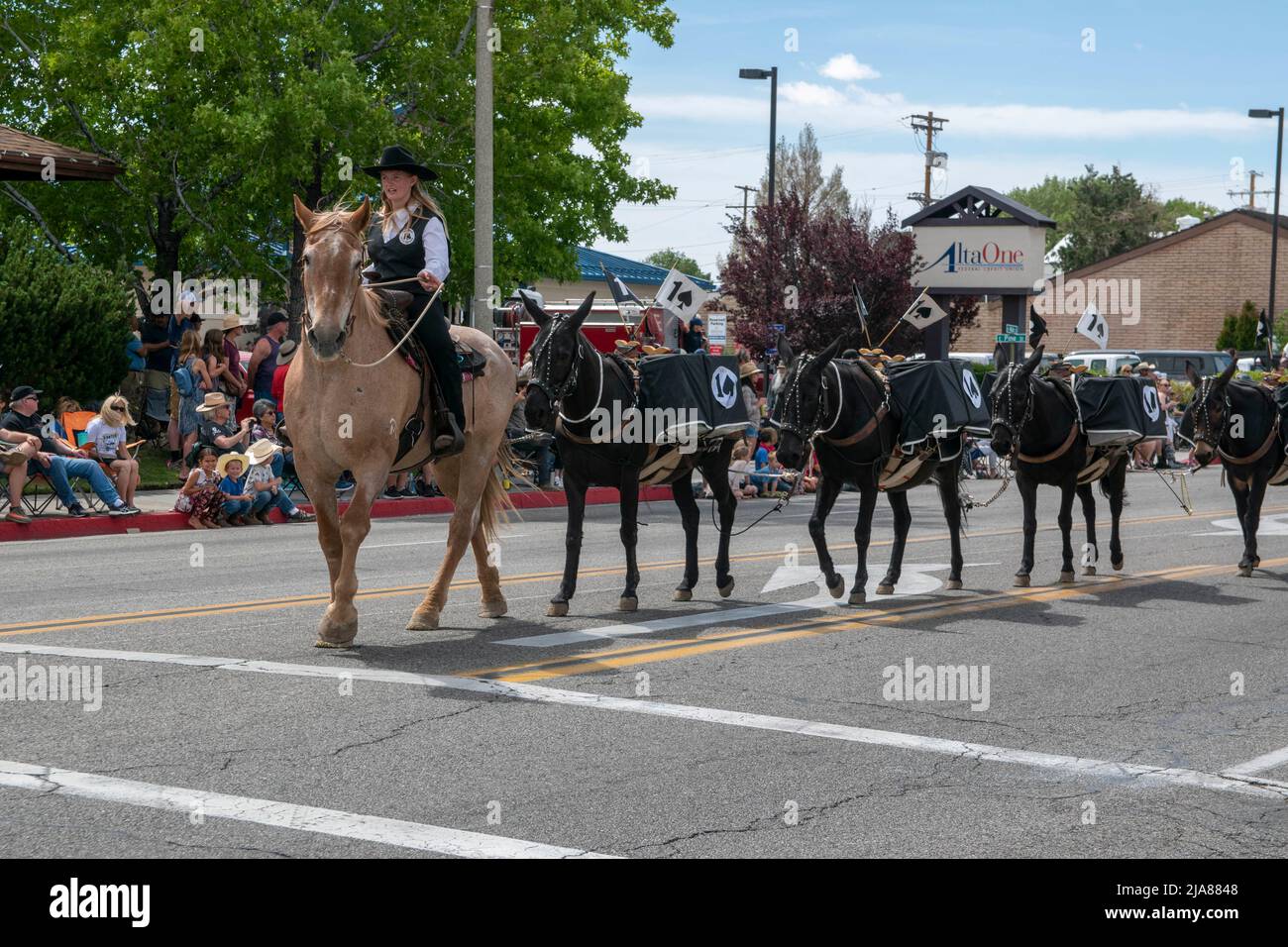 The Mule Days Parade is a staple of the Mule Days celebration in Bishop ...