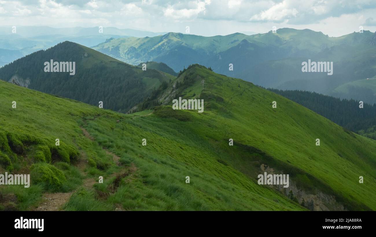 High altitude rain forest hi-res stock photography and images - Alamy
