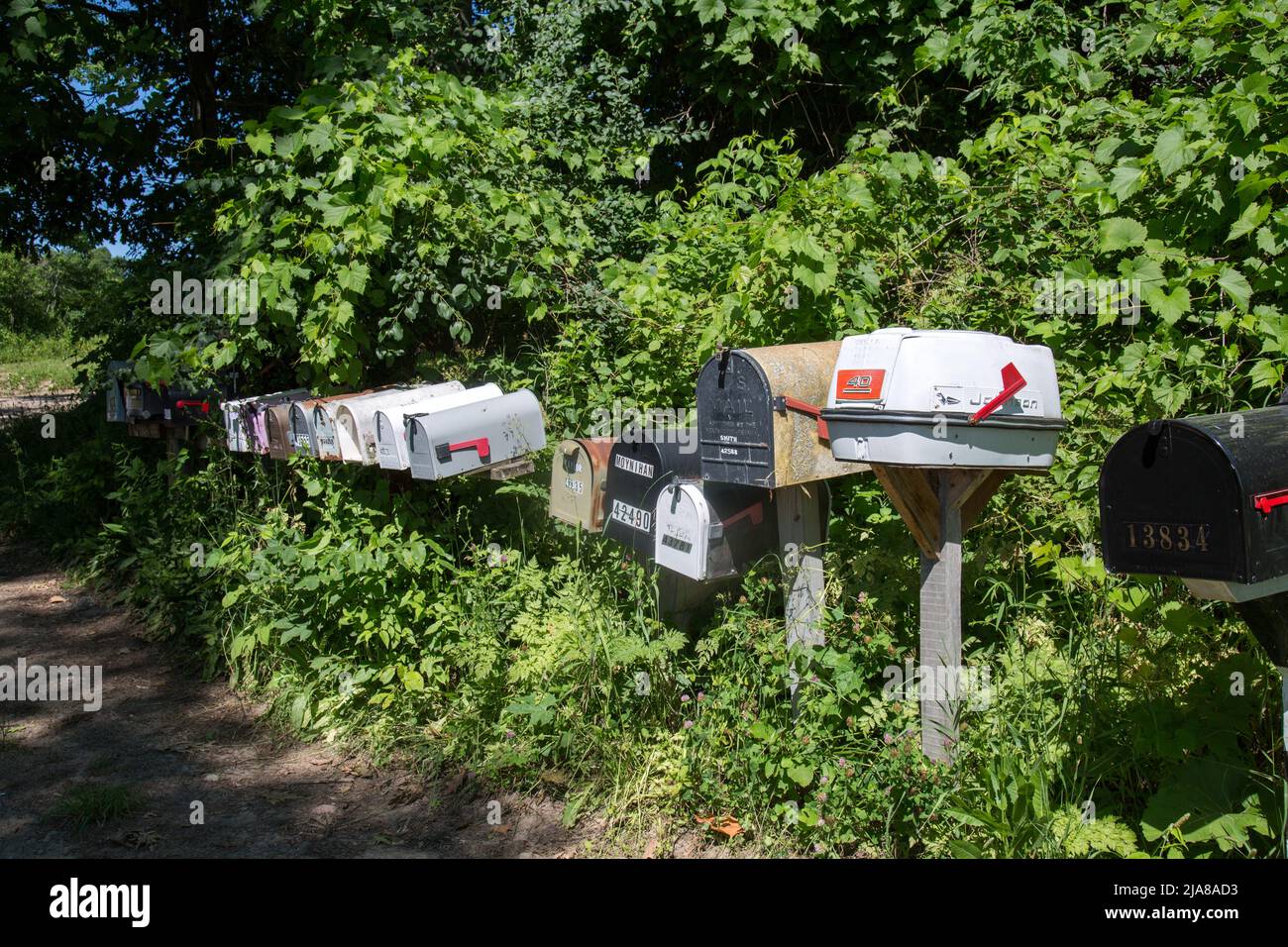 Overgrown rural mailboxes in hi-res stock photography and images - Alamy