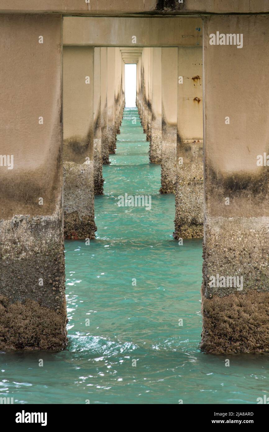 Stone pier pylons stretching out into the water at low tide with crusty ...