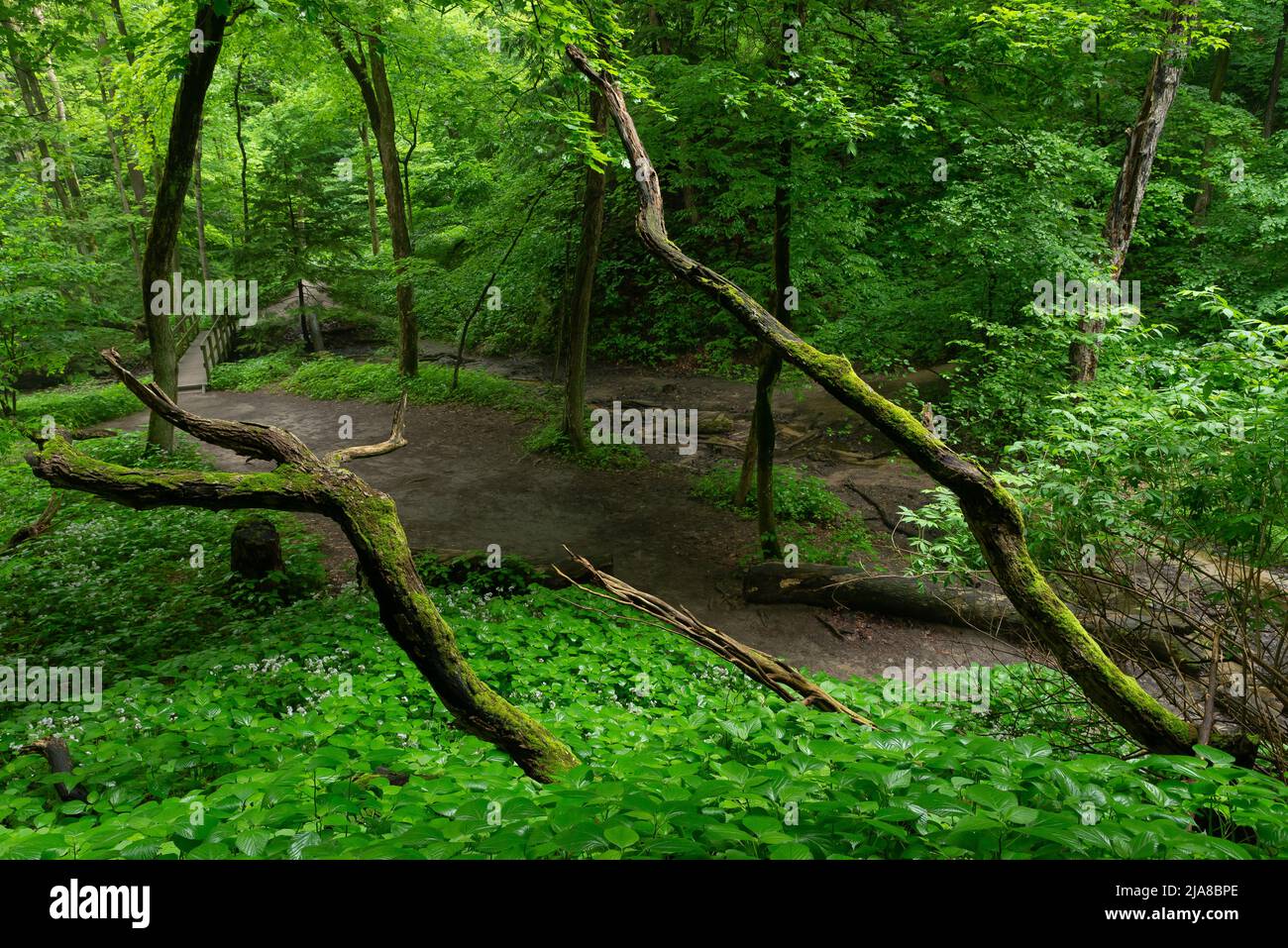 Landscape in St. Louis Canyon on a cloudy Spring morning. Starved Rock ...