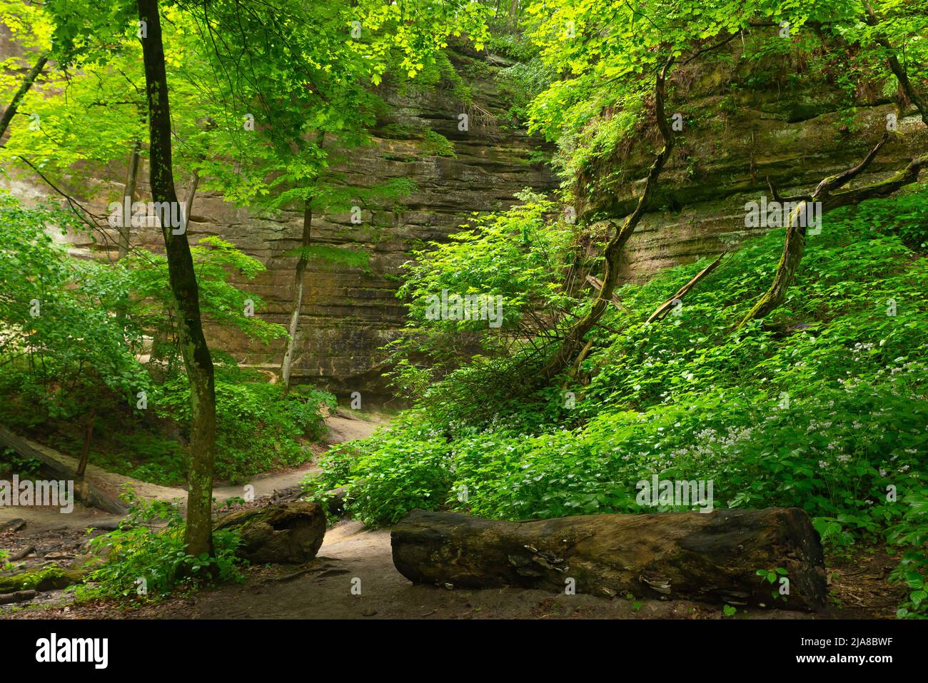 Landscape in St. Louis Canyon on a cloudy Spring morning. Starved Rock ...