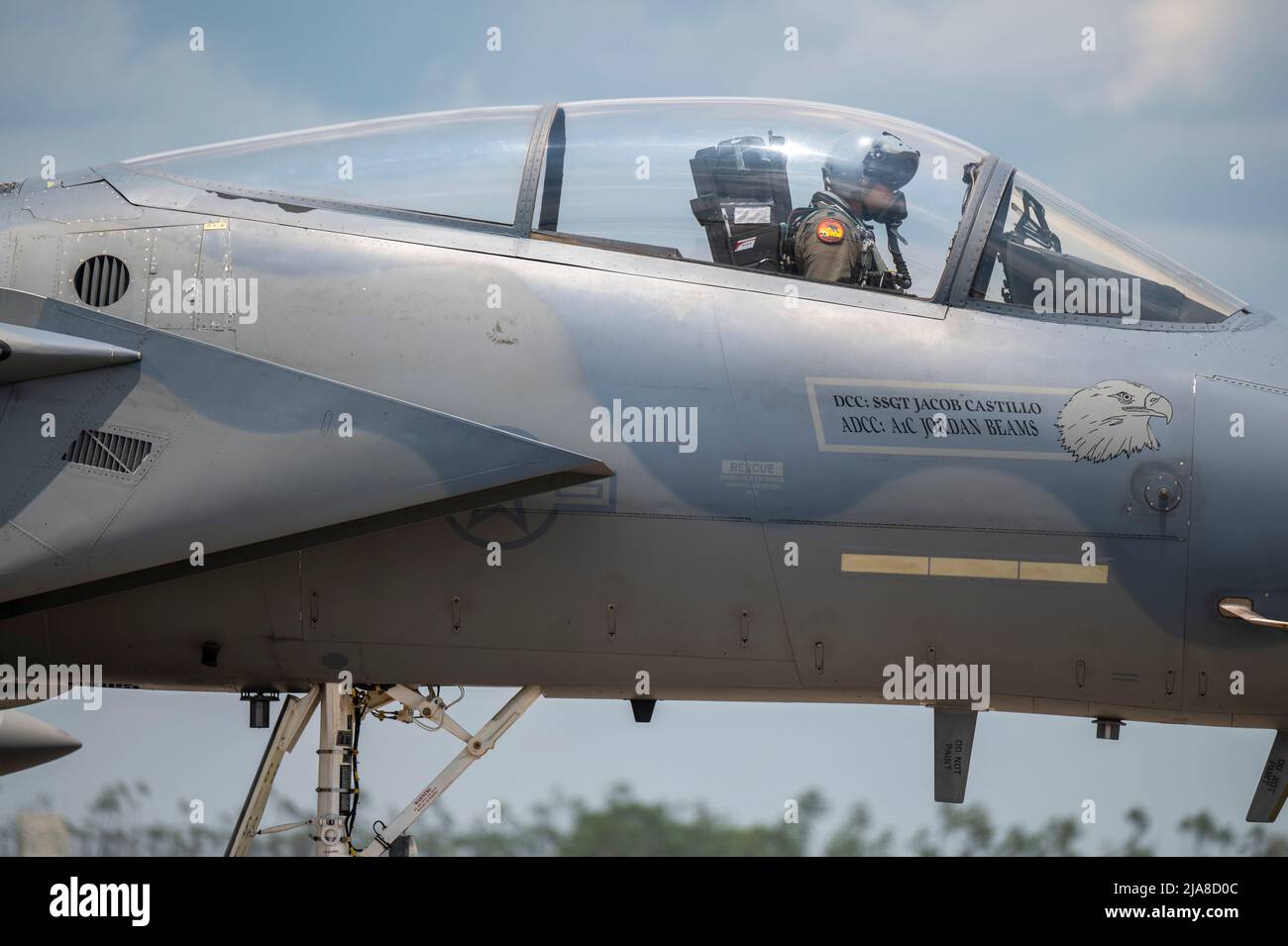 A U.S. Air Force F-15C Eagle pilot assigned to the 131st Fighter ...