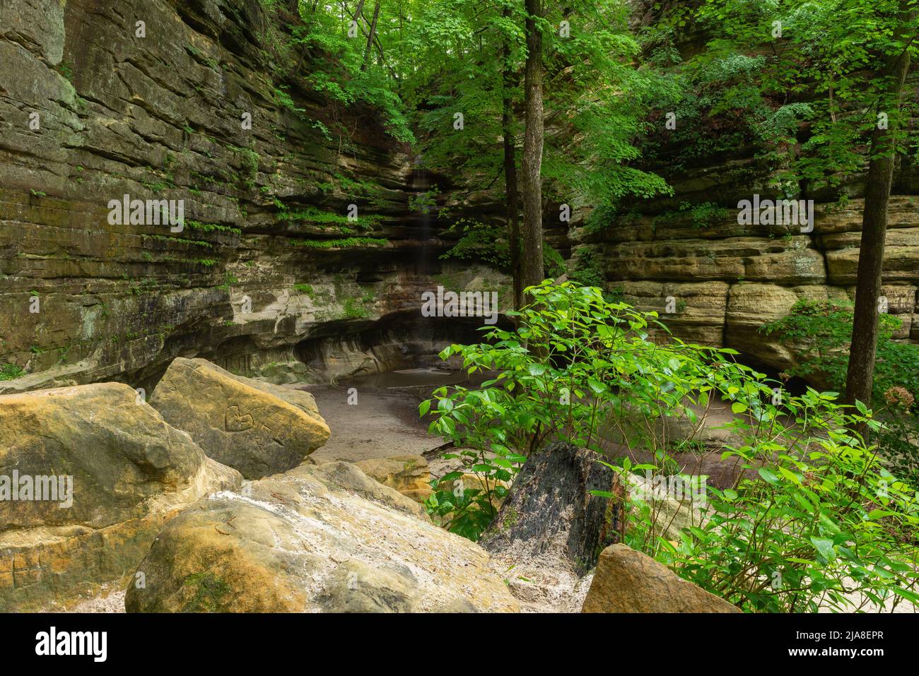 Canyon walls and landscape in St. Louis Canyon on a rainy Spring ...