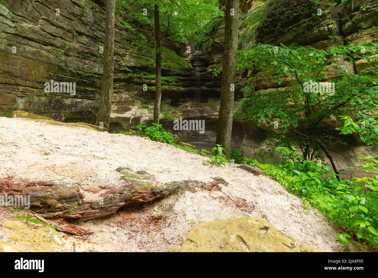 Canyon walls and landscape in St. Louis Canyon on a rainy Spring ...