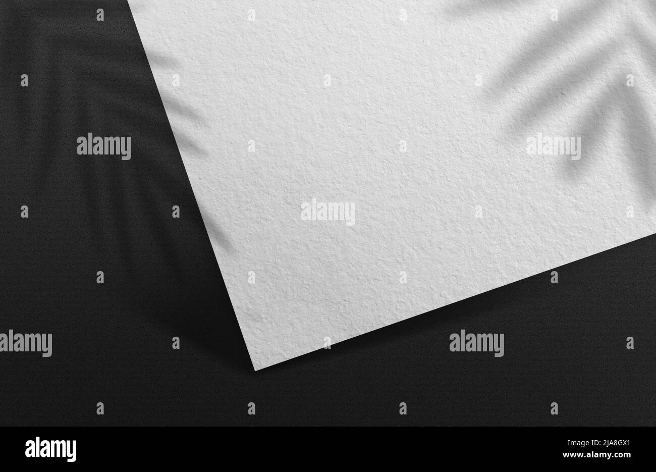 Set vector realistic white Black and White Stock Photos & Images - Alamy