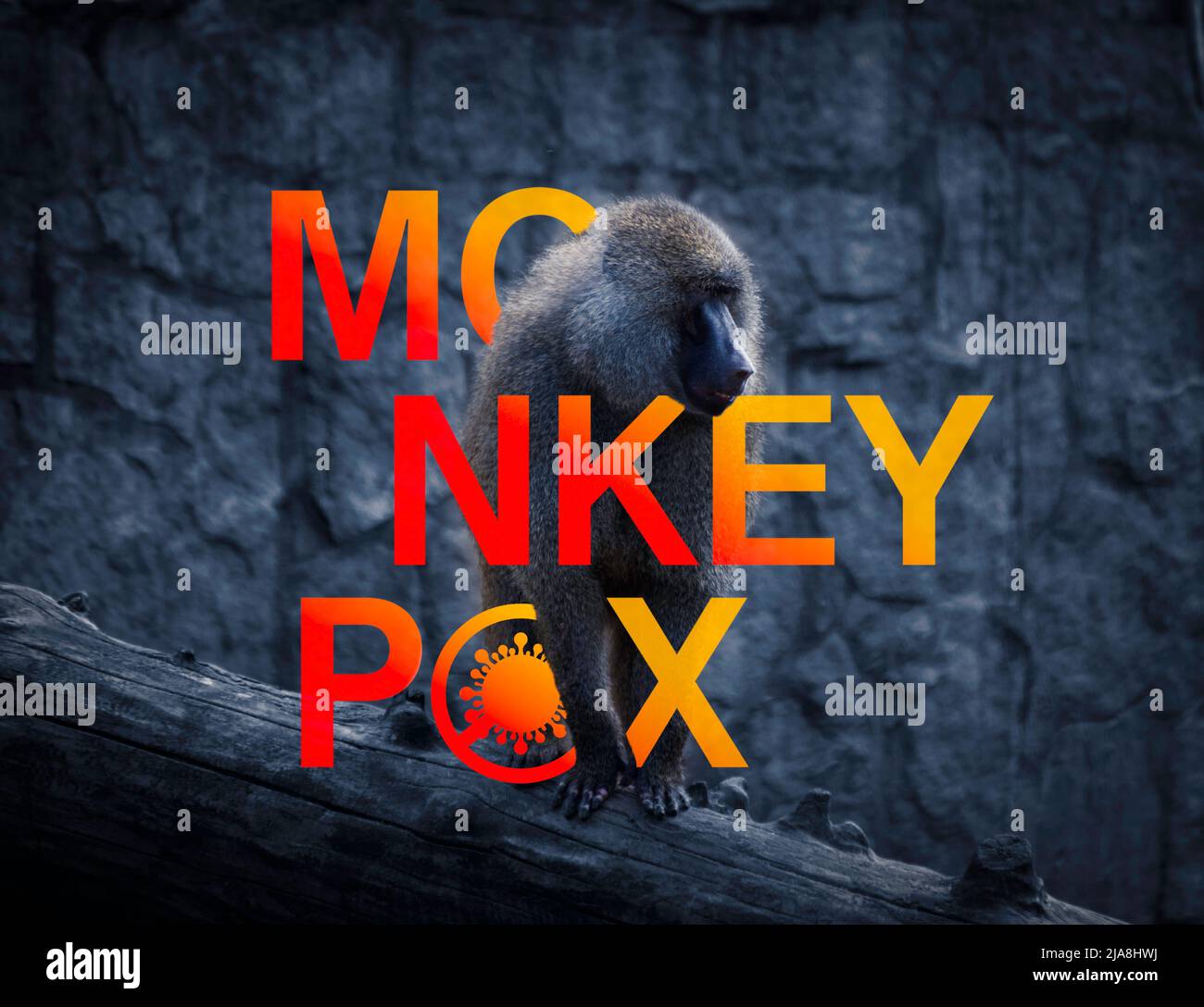 Monkeypox outbreak. Threat of disease of new epidemic that transmitted ...