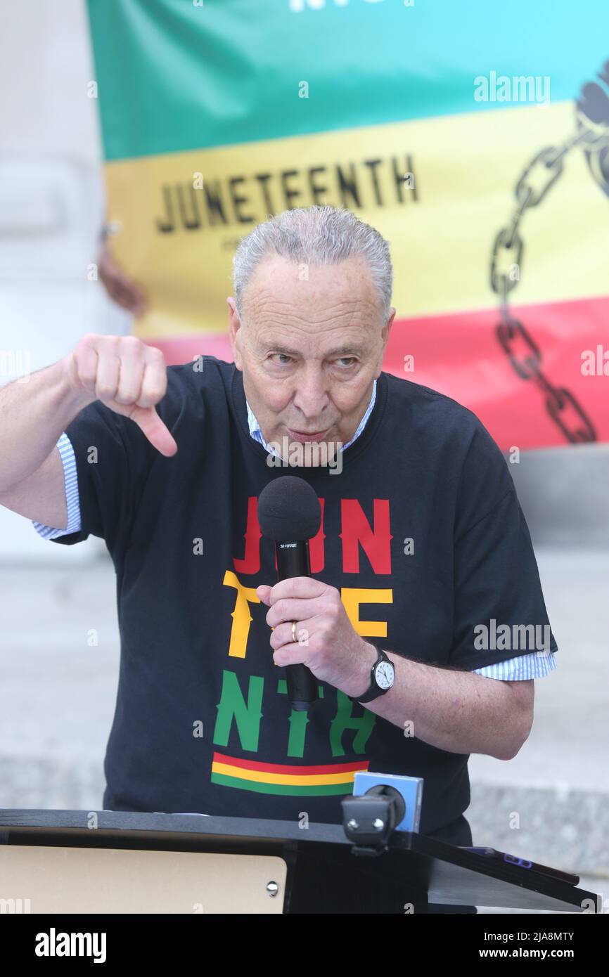 NYC Council Member Farah N. Louis In Partnership with Brooklyn Borough ...