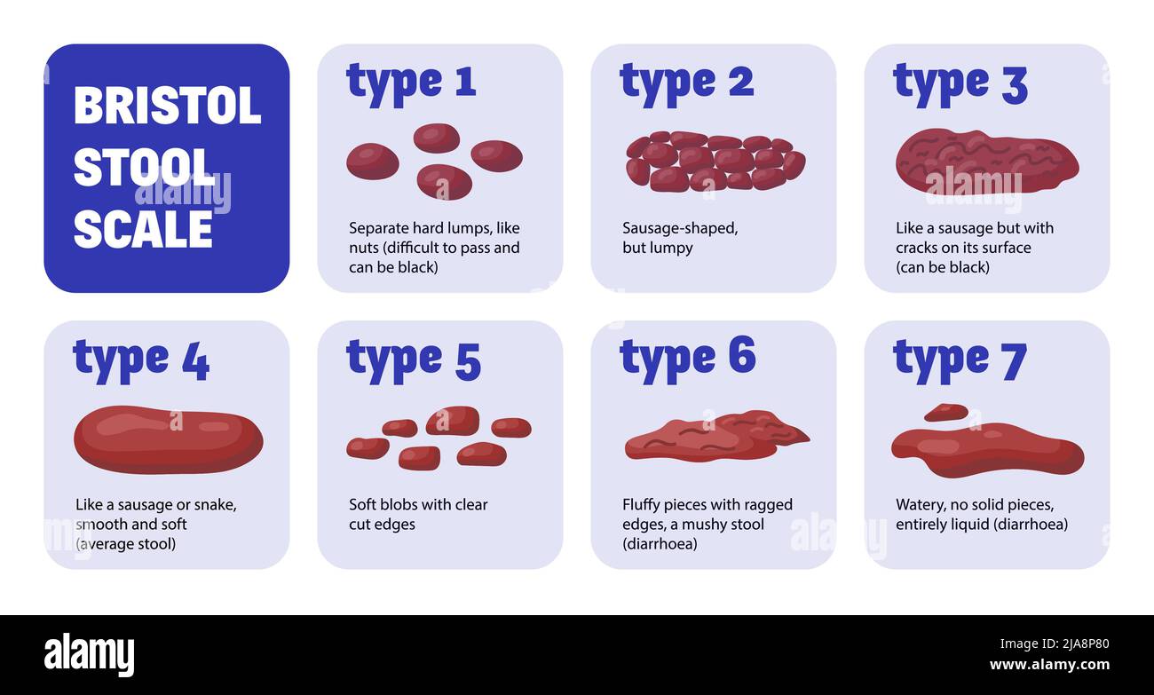 Bristol stool composition with chart of square shaped compositions with ...