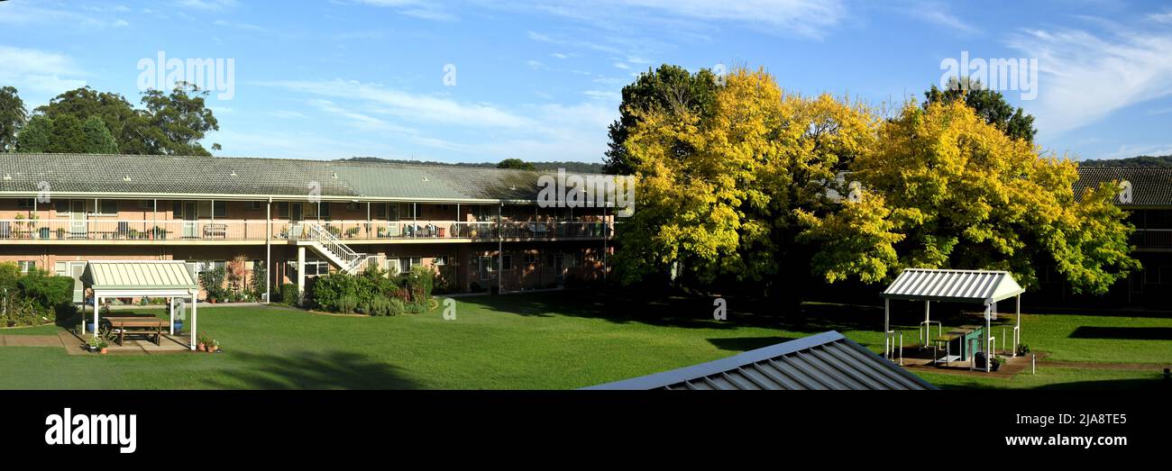 Panoramic landscape. Colourful golden sunlit Black Locust Tree also ...