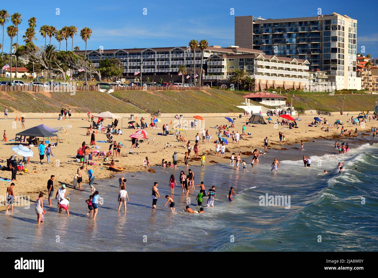 A crowd enjoys the ocean waters on a summer’s day in Redondo Beach ...