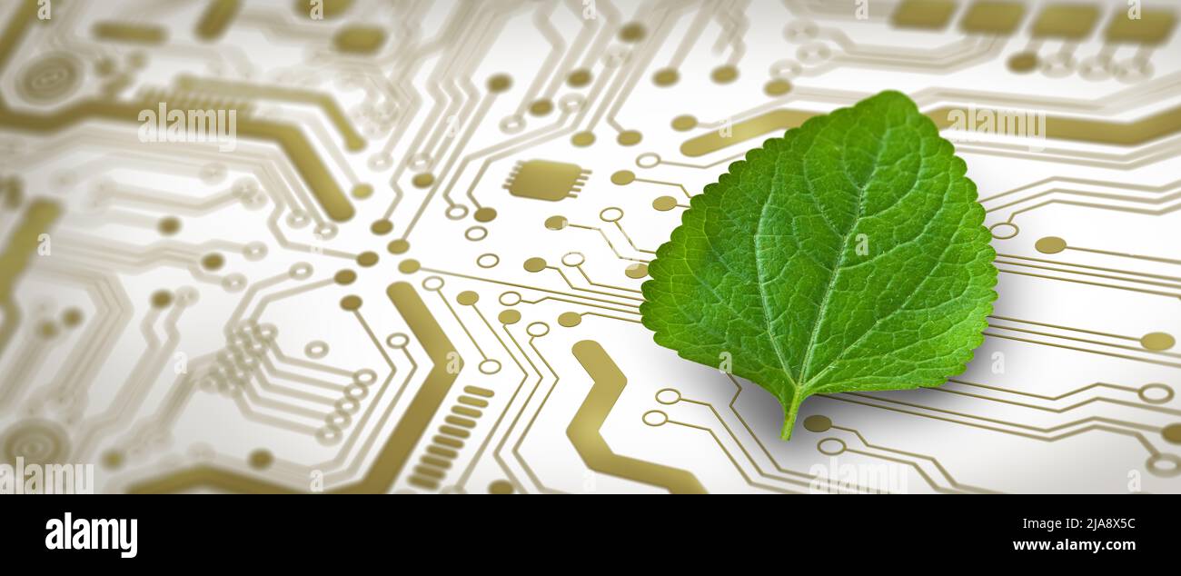 Green leaf on the converging point of computer circuit board. Nature ...