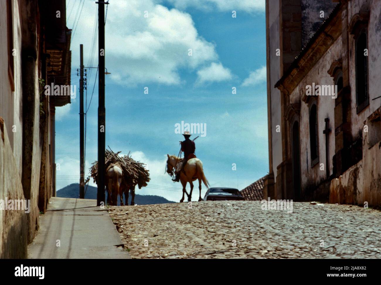 Gold donkey hi-res stock photography and images - Alamy