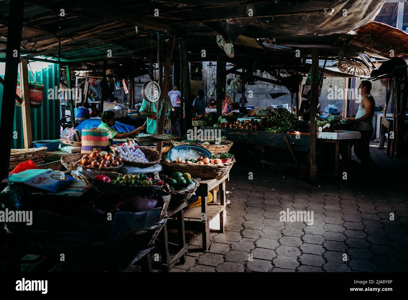 fruit and vegetable stalls in the shaded local market in León ...