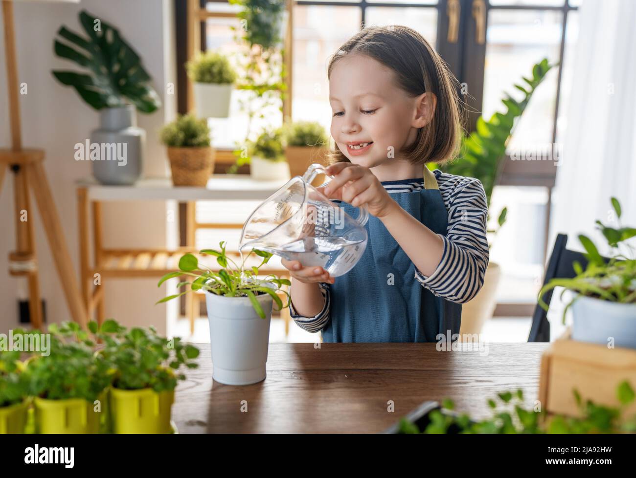 Cute child is caring for plants. Girl engaging in gardening at home ...