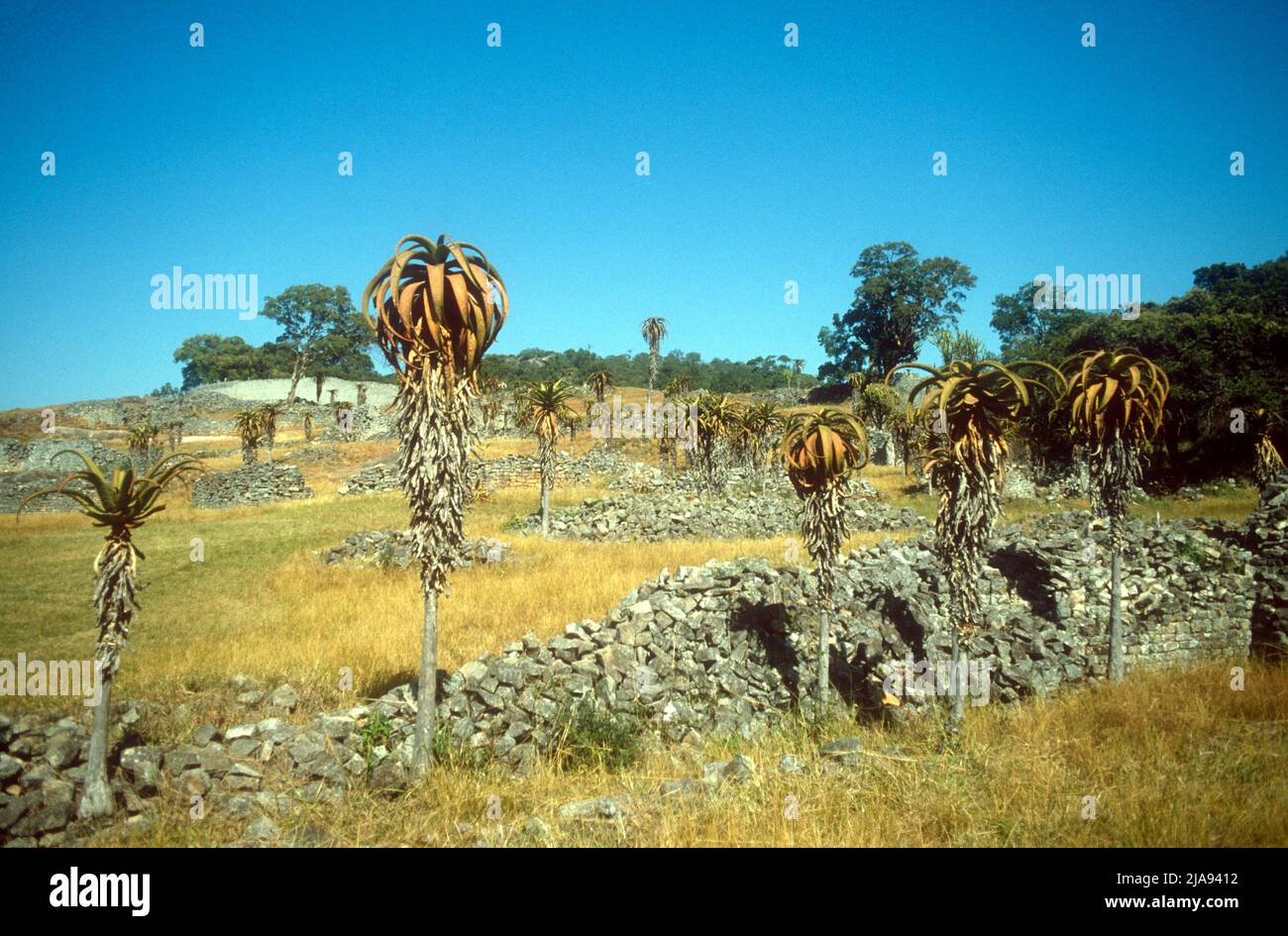 Ruins of the 9th century Shona kingdom known as the Great Zimbabwe ...