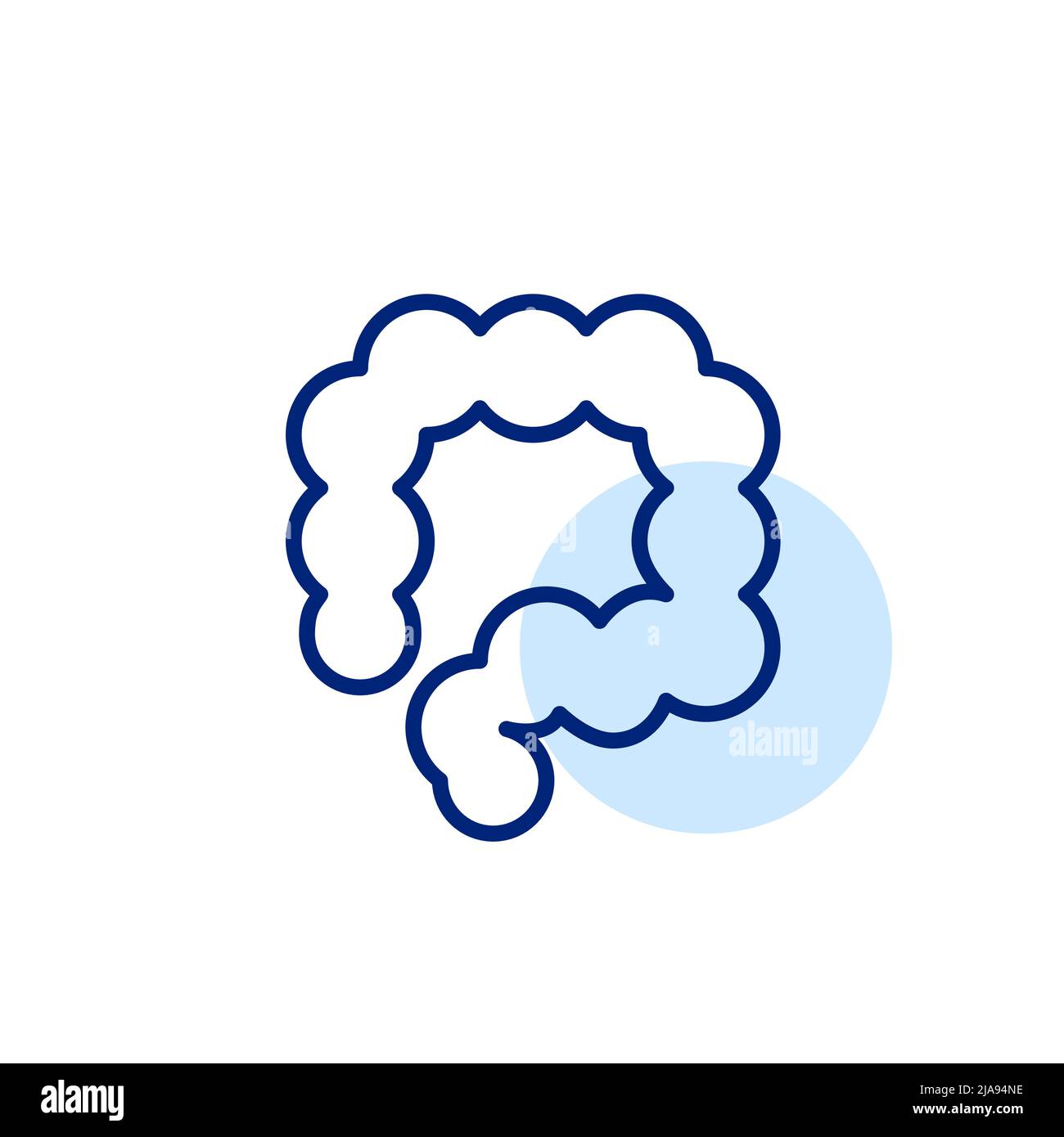 Human bowel. Gastrointestinal tract disease and anatomy. Pixel perfect ...