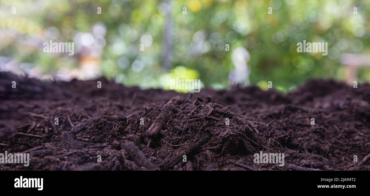 Dark Brown Soil
