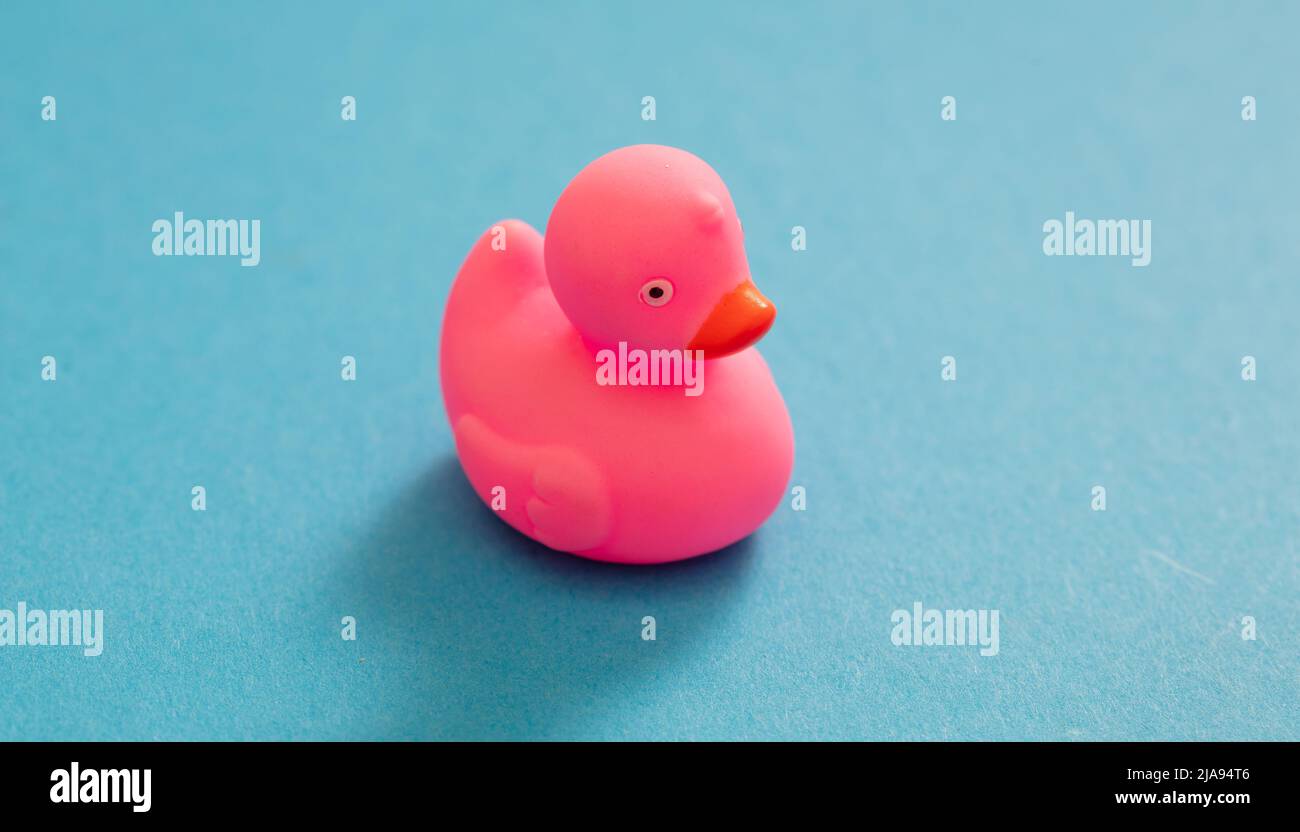 Toy rubber hi-res stock photography and images - Alamy