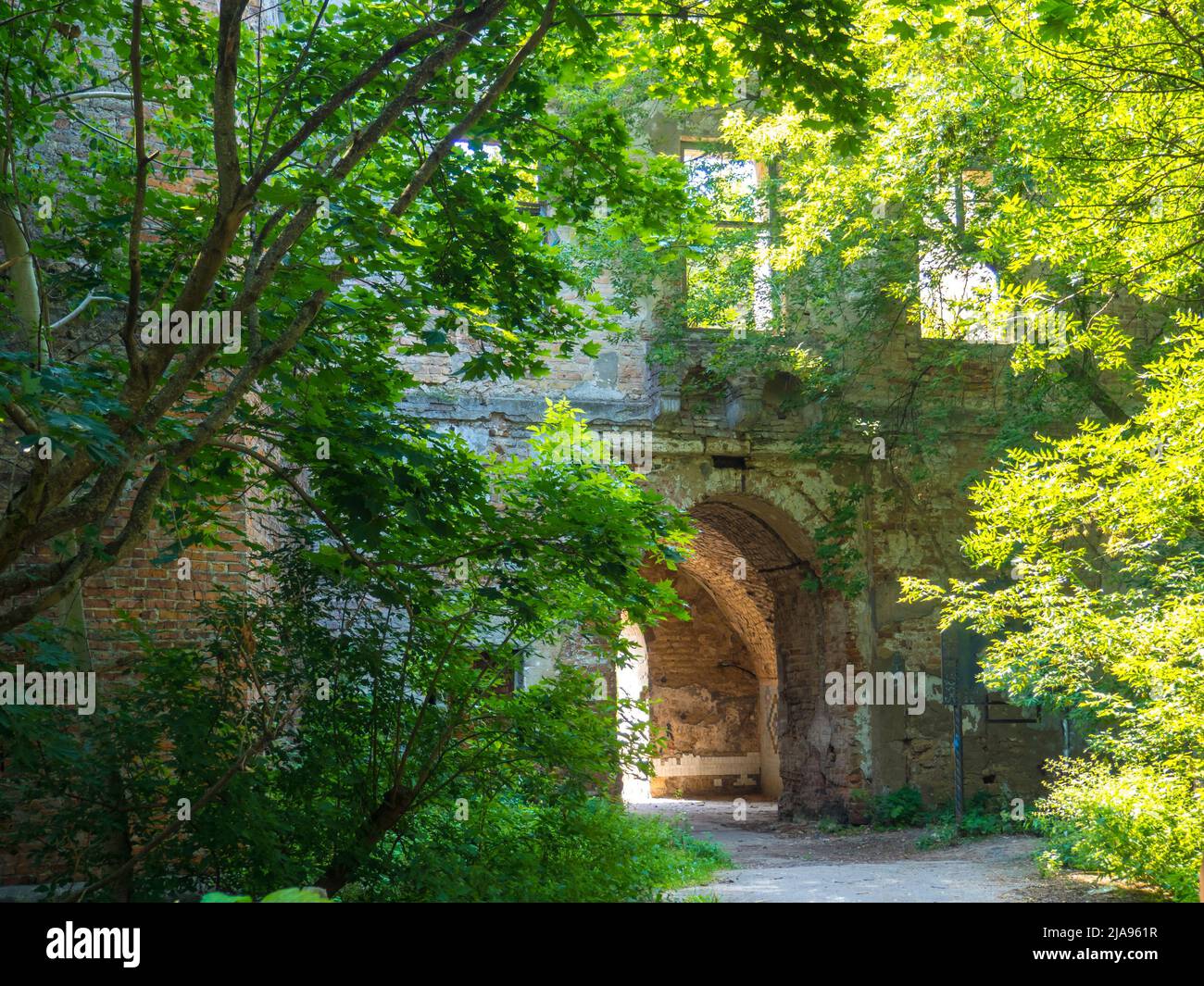 Ruins of the old Klevan Castle among the thickets Stock Photo - Alamy