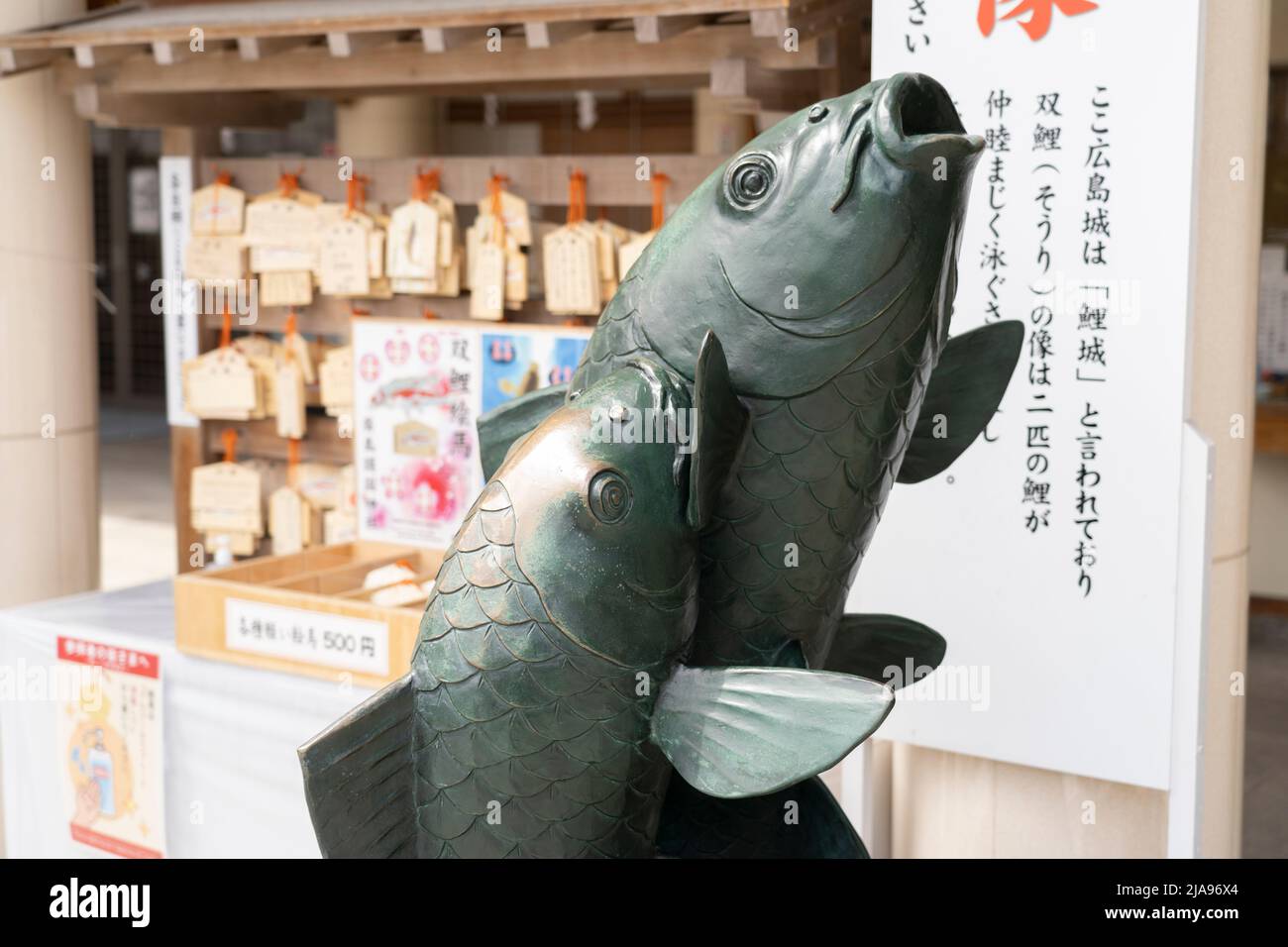 Sacred carp at Hiroshima Gokoku Shrine, Hiroshima City, Western Honshu ...