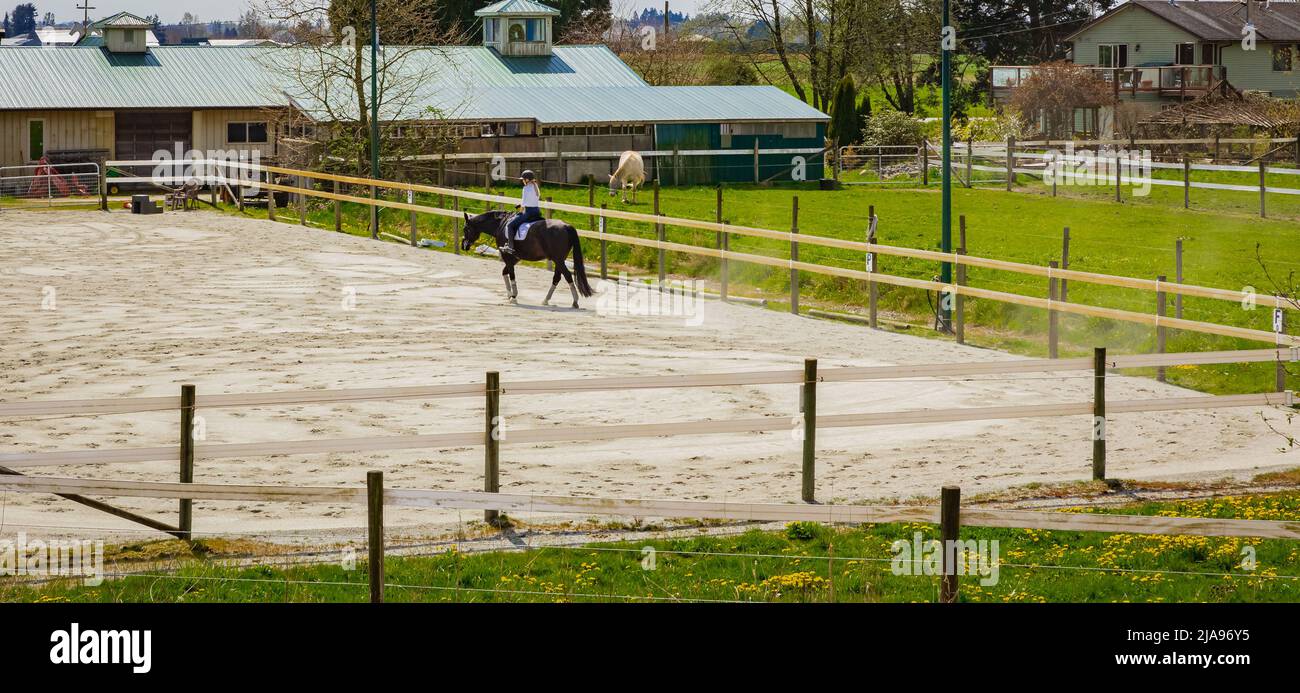 Woman in the Equestrian Facility. Professional Horse Riding Stock Photo ...