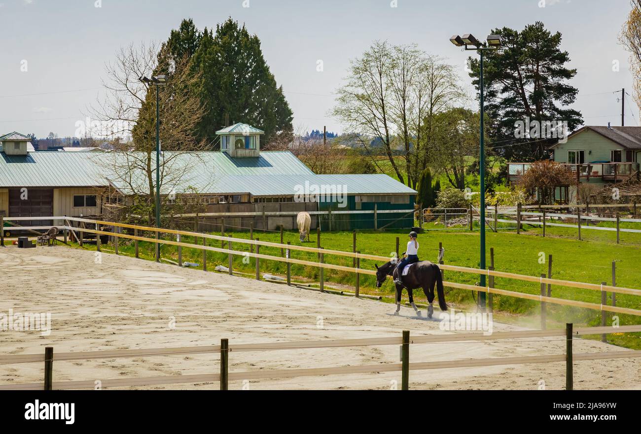 Woman in the Equestrian Facility. Professional Horse Riding Stock Photo ...