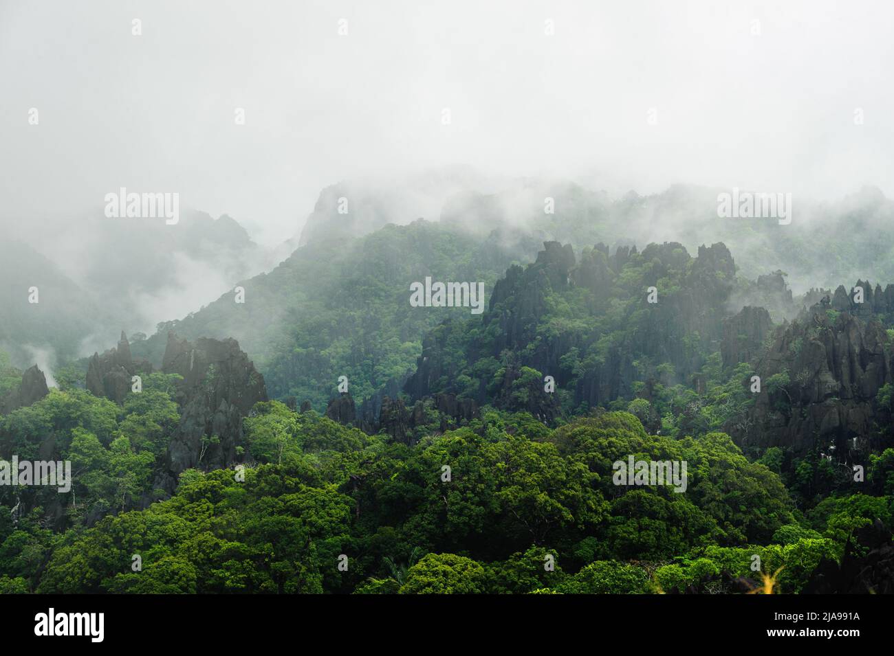 Limestone tourism travel fog hi-res stock photography and images - Alamy