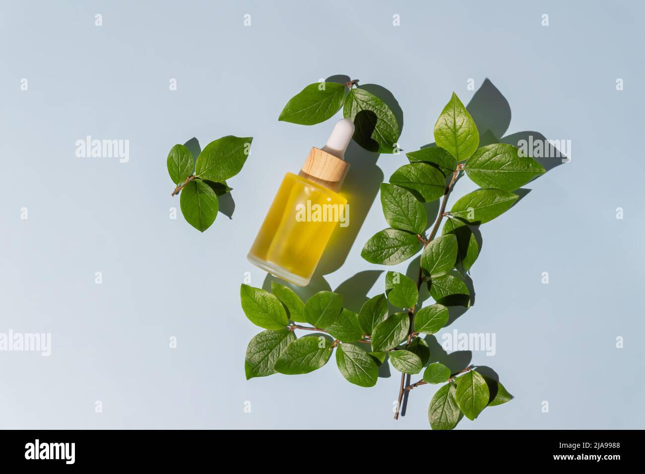 Beauty face oil in glass dropper bottle with natural ingredients ...