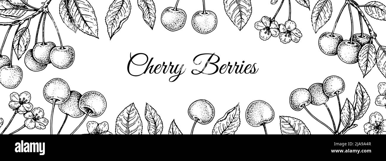 Hand drawn Cherry berries design for packaging. Vector illustration in ...