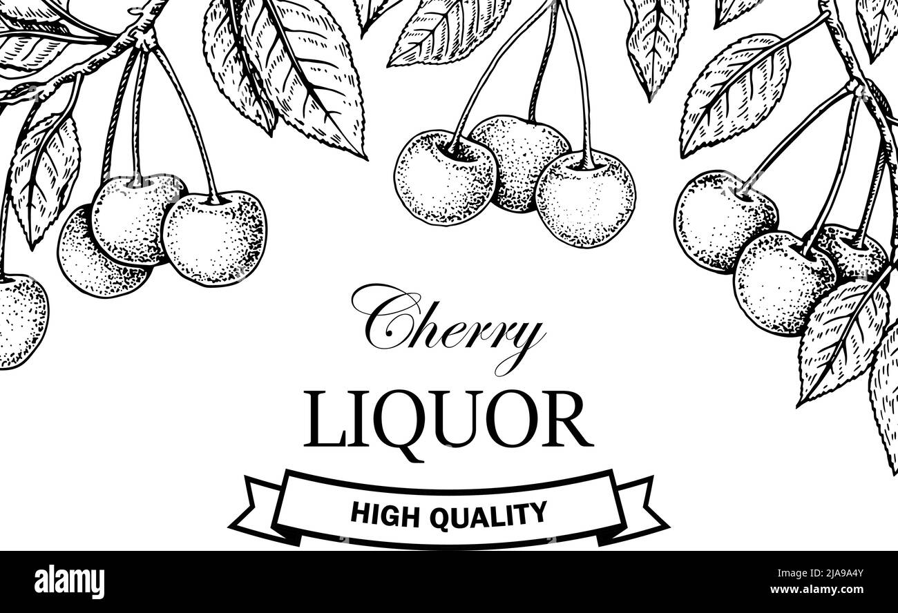 Hand drawn Cherry berries design for packaging. Vector illustration in ...