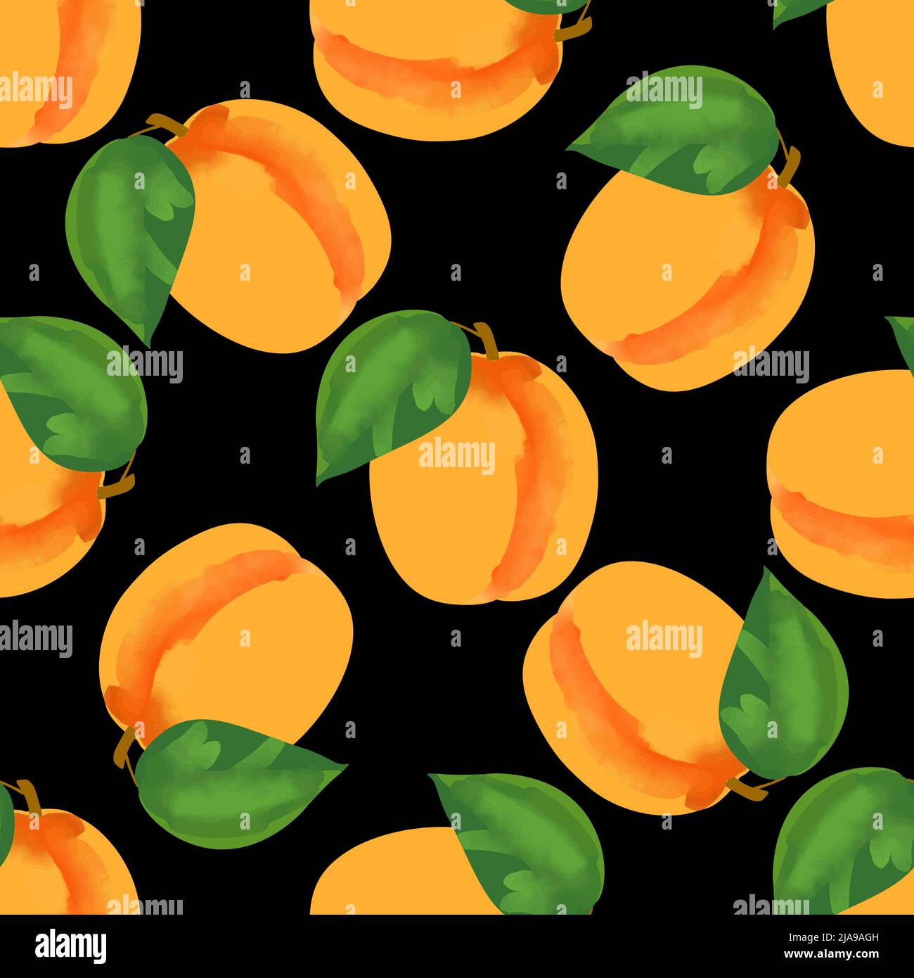 Apricot botanical illustration Stock Vector Images - Alamy