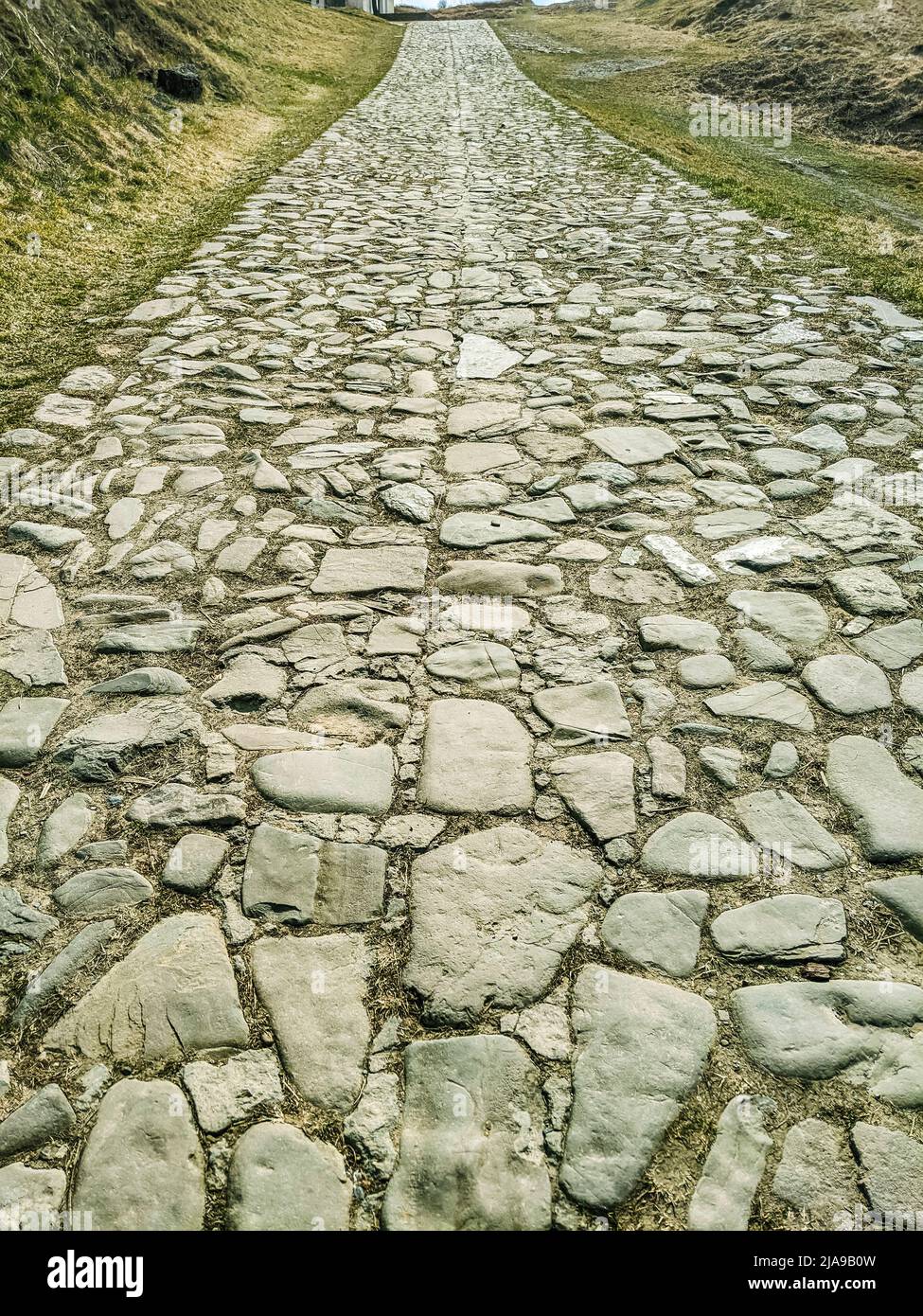 ancient granite paved road and green grass Stock Photo - Alamy
