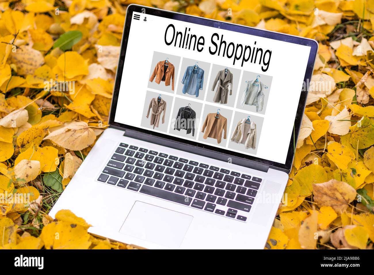 shopping, technology and internet concept: shopping with laptop ...