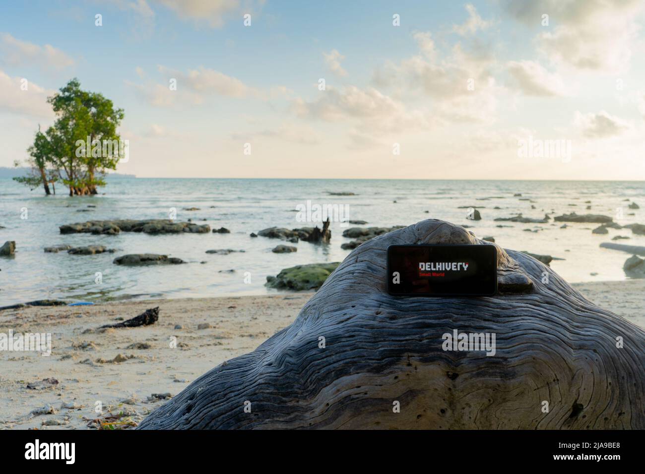 mobile phone sitting on curved tree log with Delivery screen with ...