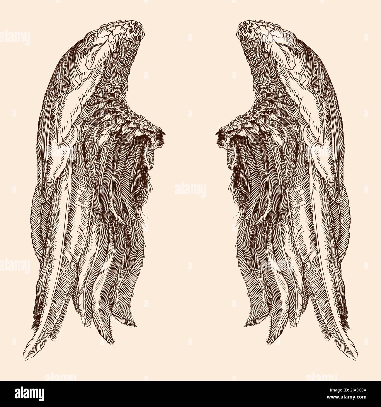 Tattered Angel Wings