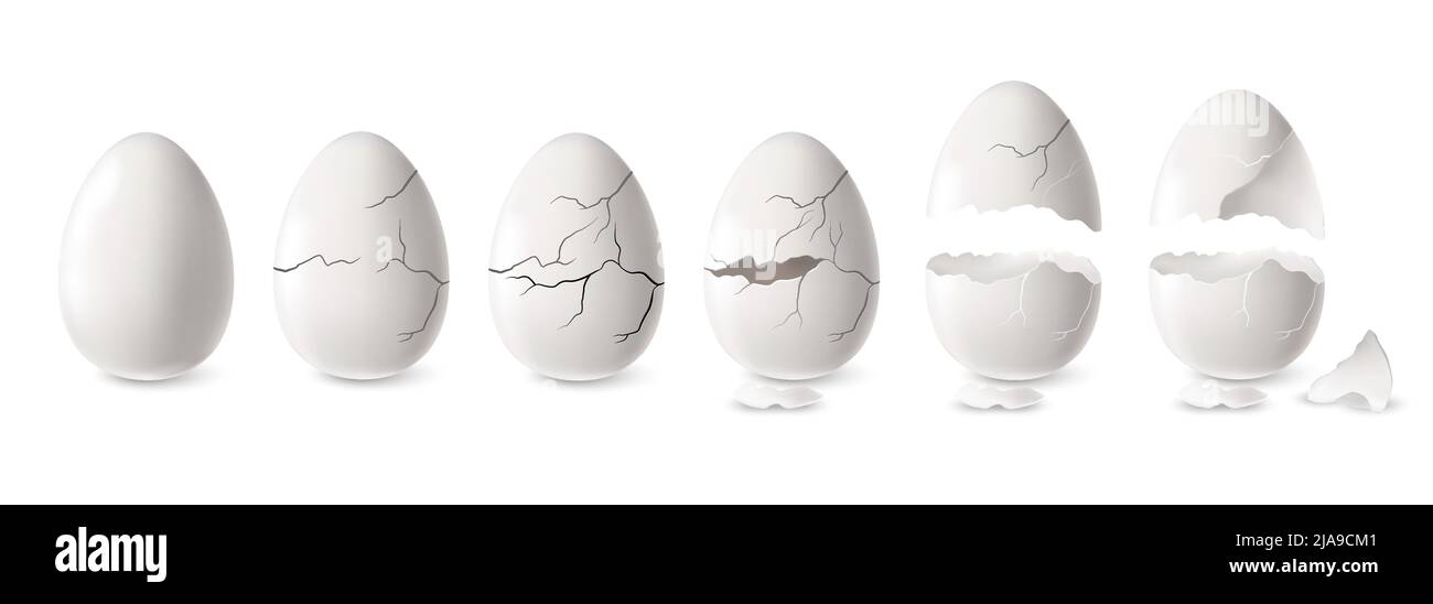 Realistic white cracked and open egg set isolated vector illustration ...