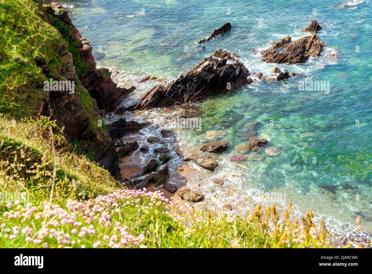 Rocks in the sea near Outer Hope in Devon Stock Photo - Alamy