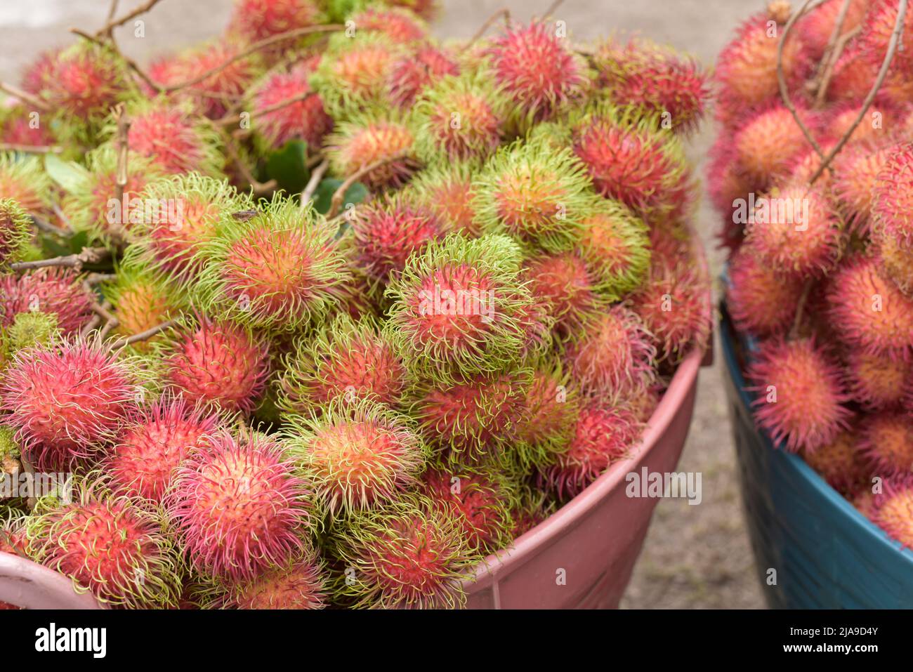 Rambutan. Top view Healthy fruits rambutans. for sell in a supermarket ...