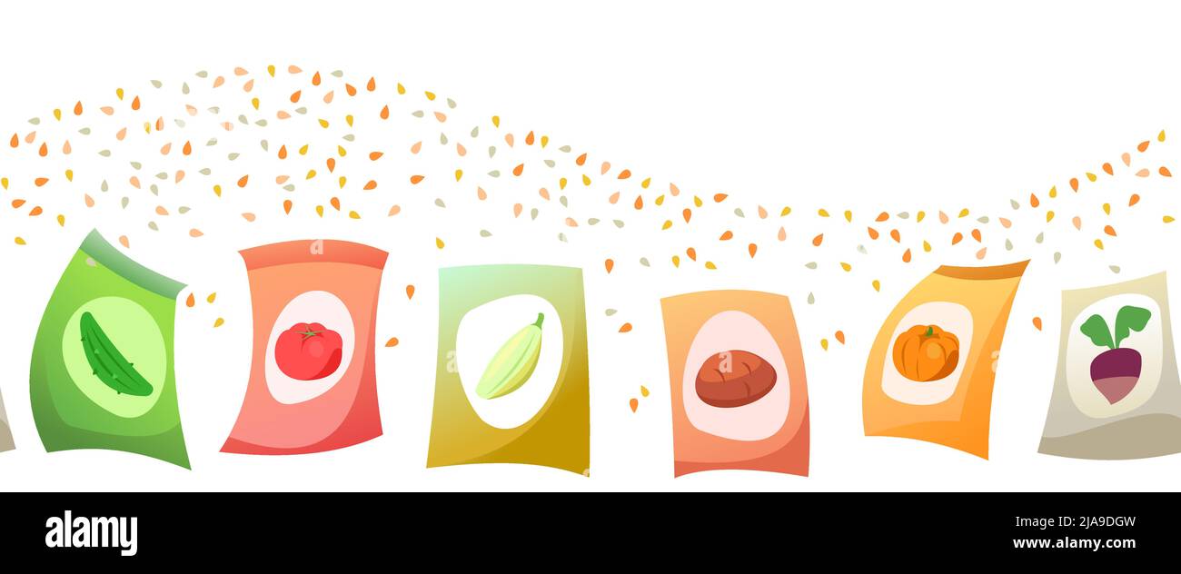 Sunflower seeds. Seedling garden plants. Sowing agricultural material ...