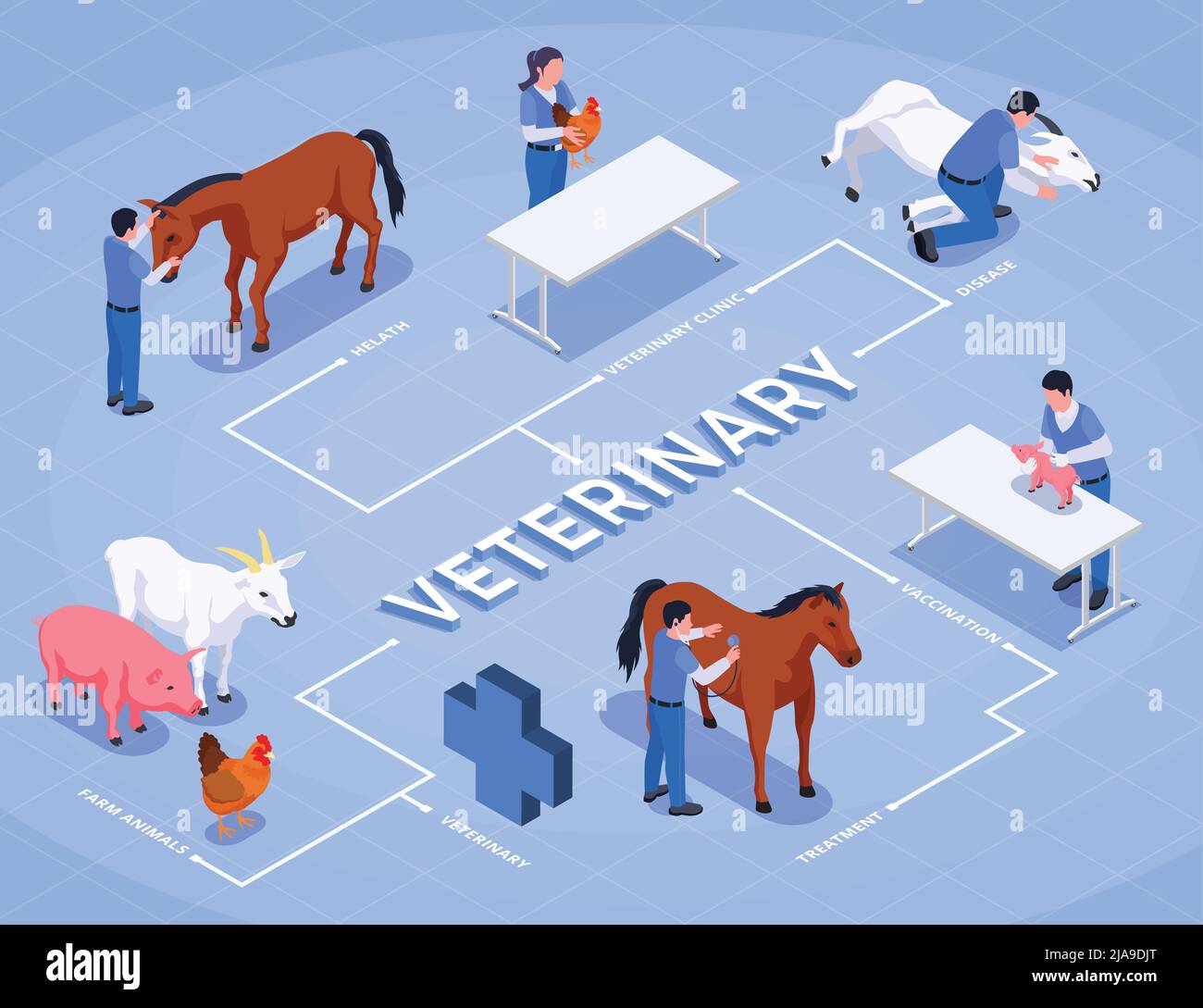 Farm animals veterinary isometric flowchart with health veterinary ...