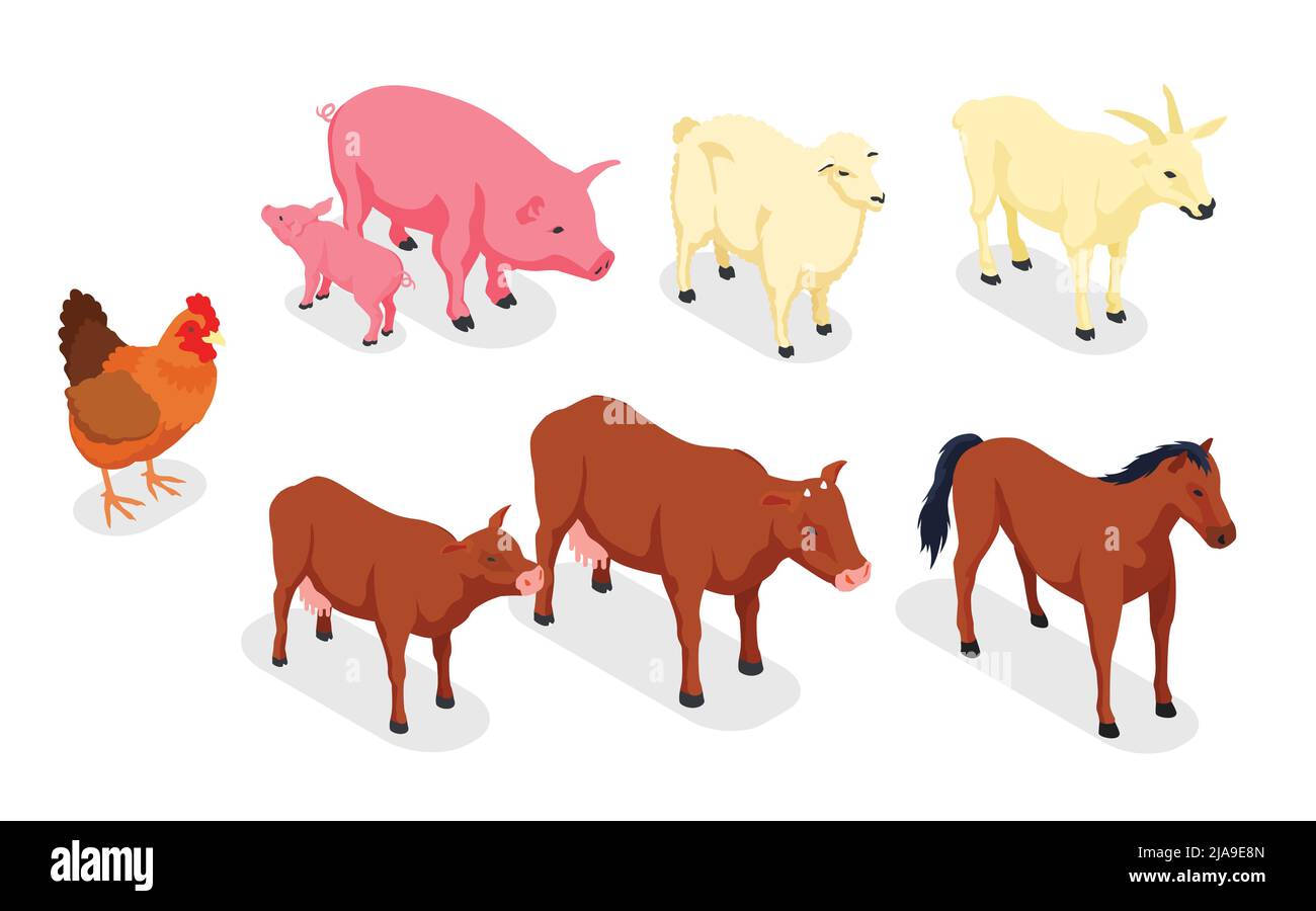 Farm animals veterinary isometric colored icon set with animals and ...