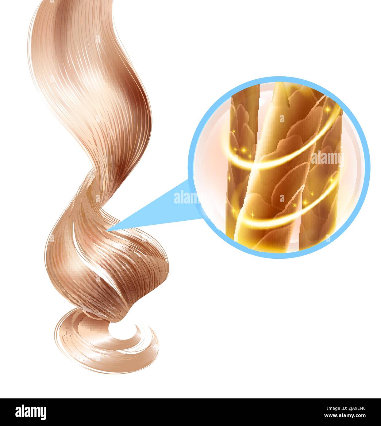 Healthy strong hair structure close up realistic composition on white ...