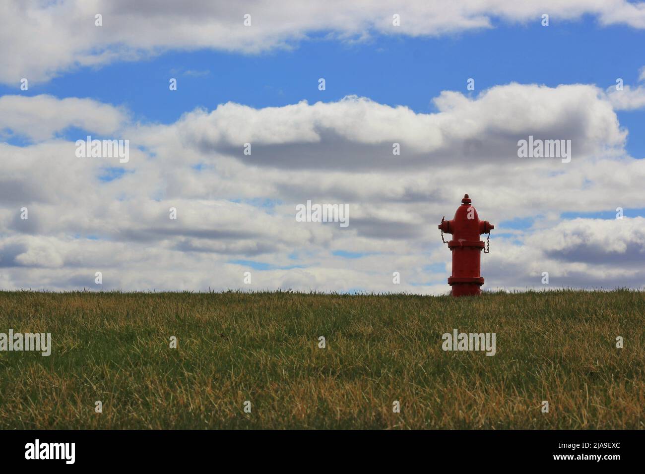 Simple single traditional fire hydrant standing in the summer meadow ...