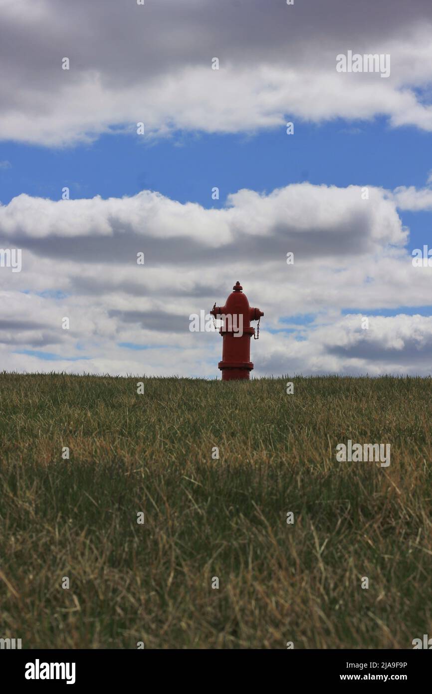 Simple single traditional fire hydrant standing in the summer meadow ...
