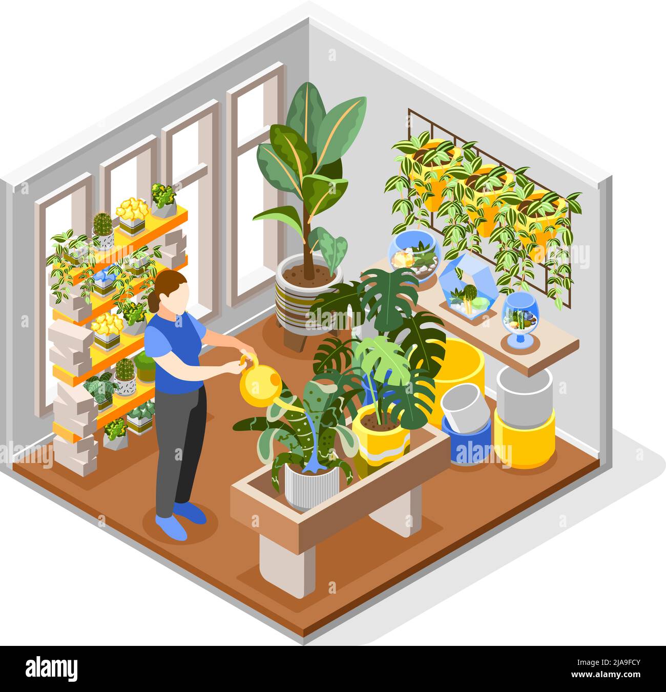 Plants composition with pots seeds and soil isometric vector ...