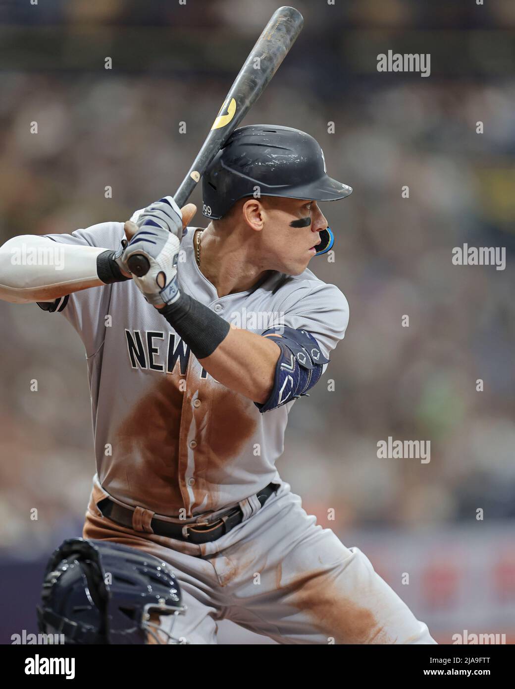 St. Petersburg, FL. USA; New York Yankees right fielder Aaron Judge (99 ...