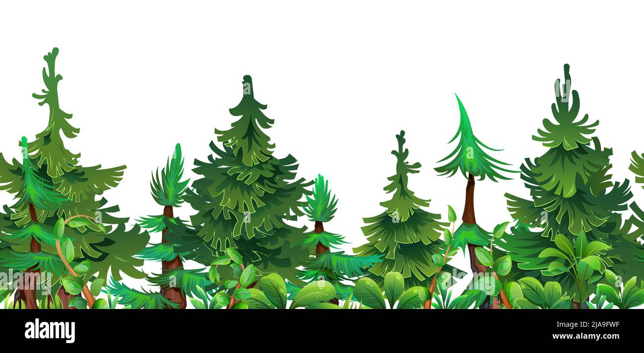 Pine forest. Coniferous spruce trees. Seamless horizontal illustration ...