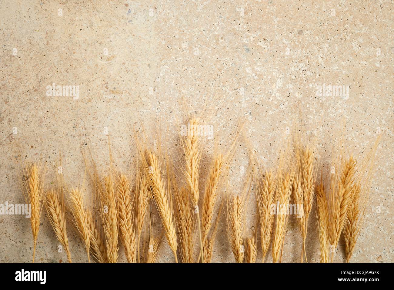 Happy Shavuot. Shavuot Jewish holiday and wheat Stock Photo - Alamy
