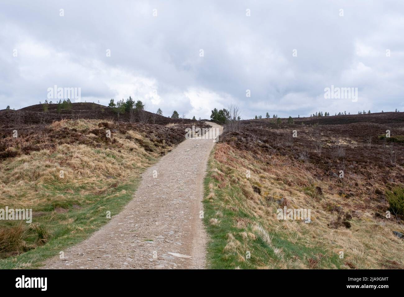 Glenmore pathway hi-res stock photography and images - Alamy